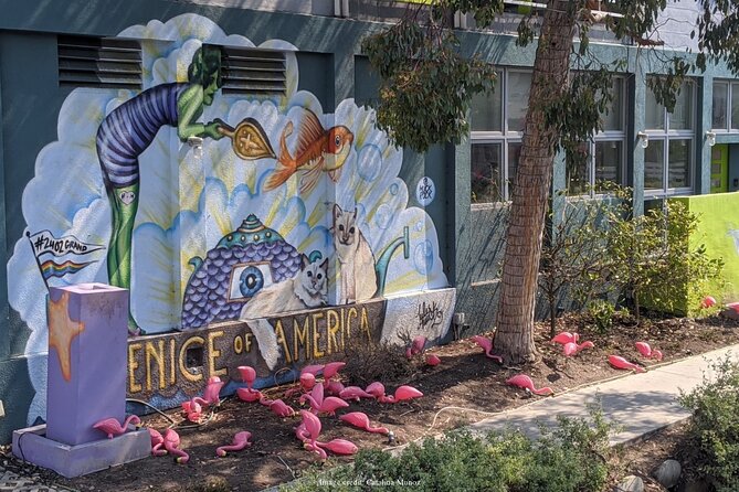 Visit Venice Beach Neighbourhood: Private 2-hour Walking Tour - Final Thoughts: Is It Worth It?