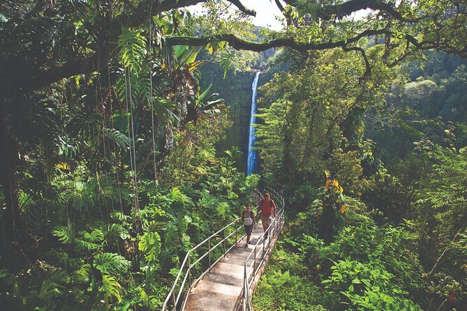 Volcano Adventure: Hilo Sightseeing w/ Optional Helicopter Tour - A Day in the Life of the Big Island Volcano Tour