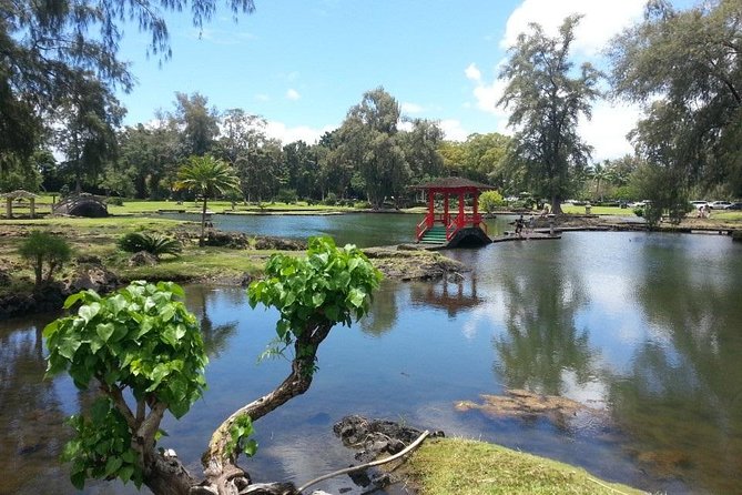 Volcano Adventure Tour & Waterfall - Shore Excursion from Hilo Harbor - The Sum Up