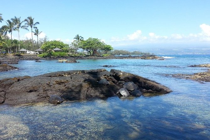 Volcano Adventure Tour & Waterfall - Shore Excursion from Hilo Harbor - Frequently Asked Questions