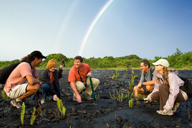 Volcano, Chocolate and Waterfalls of the Big Island - Key Points  
