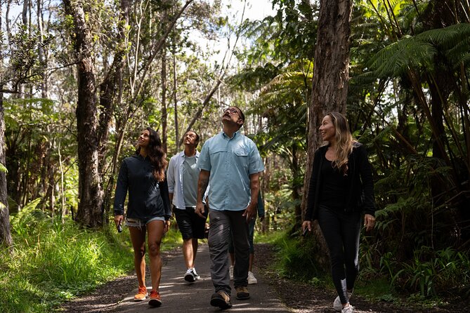 Volcano Explorer Tour - Final Thoughts: Is the Volcano Explorer Tour Worth It?