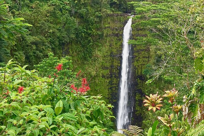 Volcanoes&Stargazing Exclusive Private Van Charter - FAQ