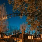 Voodoo Vibes: Best of New Orleans Tour - Exploring the Heart of New Orleans: A Detailed Look at the Tour