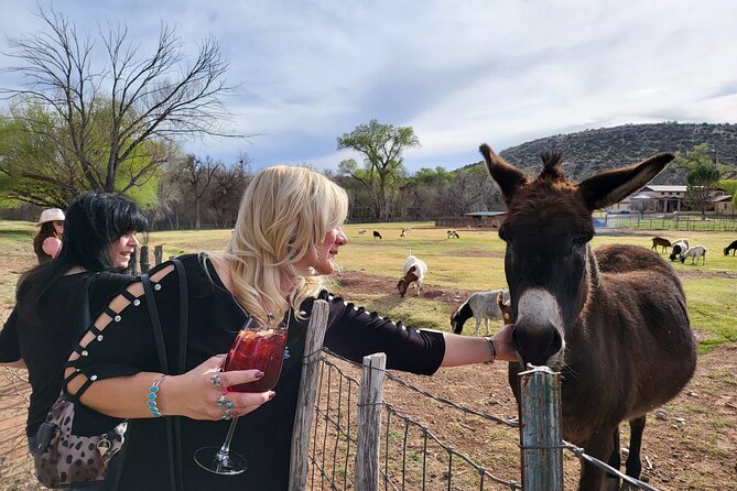 Voted Best in Sedona-Cheapest Private Wine Tour in town! - Exploring the Verde Valley Wine Tour in Depth
