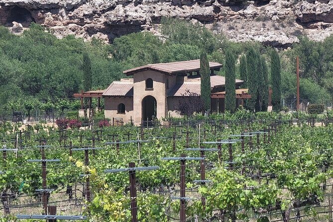 Voted Best in Sedona-Jerome & Vineyards, with Lunch & Tastings - What’s Included and What to Keep in Mind
