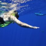 Waianae, Oahu: Swim with Dolphins (Semi-Private Boat Tour) - Is This Tour Worth the Price?
