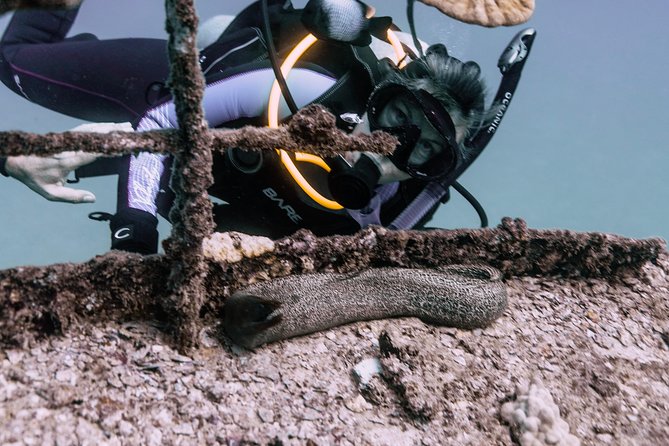 Waikiki 2 Tank World Class Wreck SCUBA Diving - Certified Only - What’s Included and What’s Not