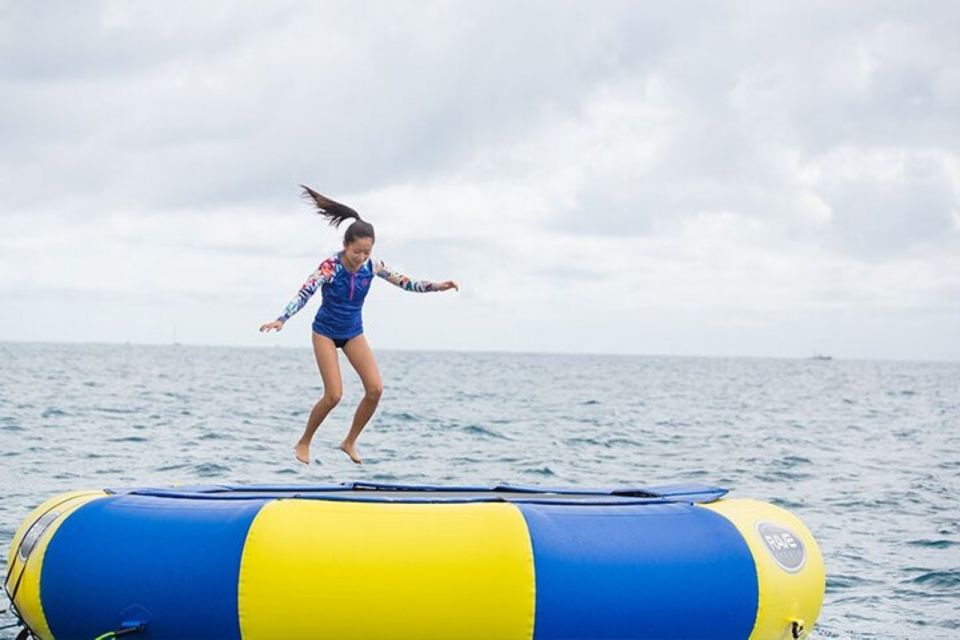Waikiki: 5-in-1 Turtle Snorkeling Trip with Transfer - Overview of the Experience