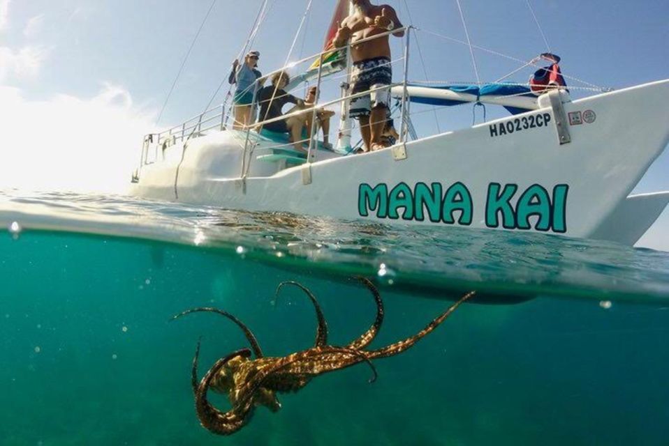 Waikiki Beach: Turtle Snorkeling and Sailing on Hwea - The Bottom Line: Is This Tour Worth It?