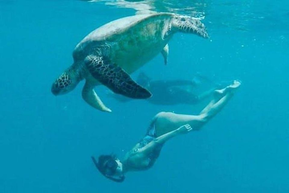 Waikiki Beach: Turtle Snorkeling and Sailing on Hwea - Final Thoughts