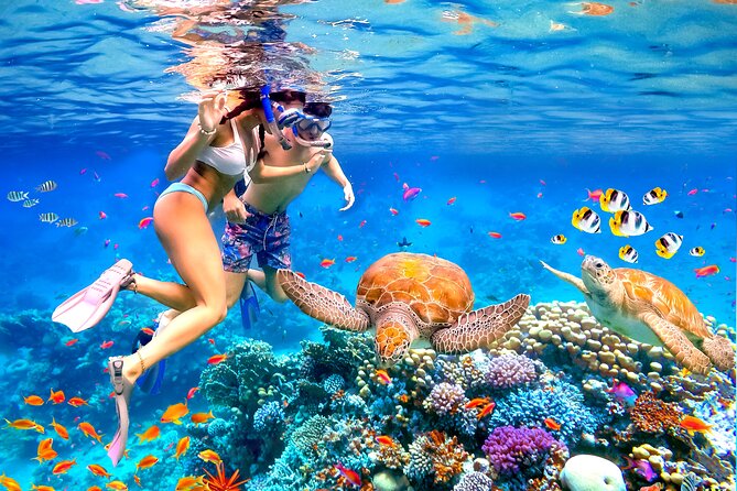 Waikiki Catamaran Escape: Snorkel with Turtles & Water Sports Fun - Final Thoughts