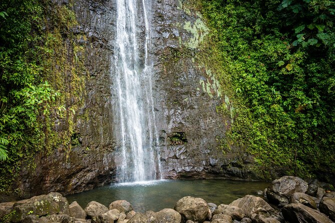 Waikiki Electric Bike Self Guided Tour- Manoa Falls Bike and Hike - An Honest Look at the Manoa Falls E-Bike Tour