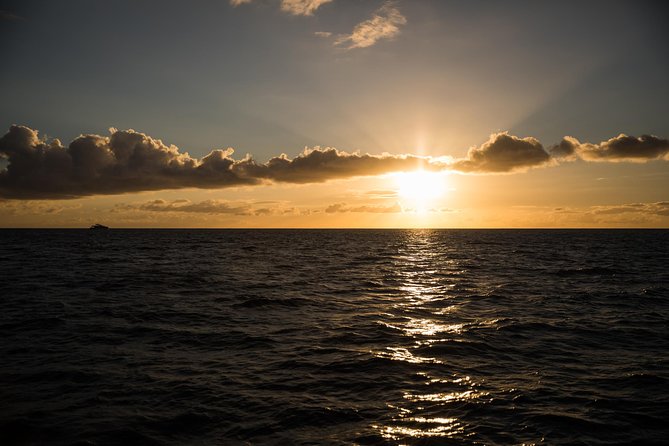 Waikiki Fireworks Dinner Cruise: Sail & Sparkle on Friday Nights - Authentic Insights From Reviewers