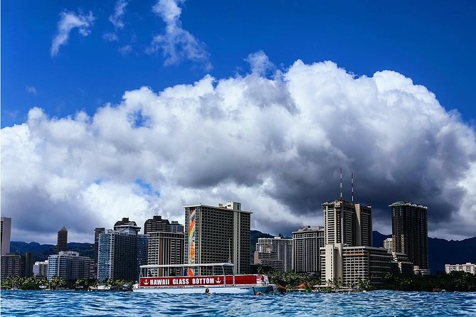 Waikiki Glass Bottom Boat Tour - The Experience Breakdown