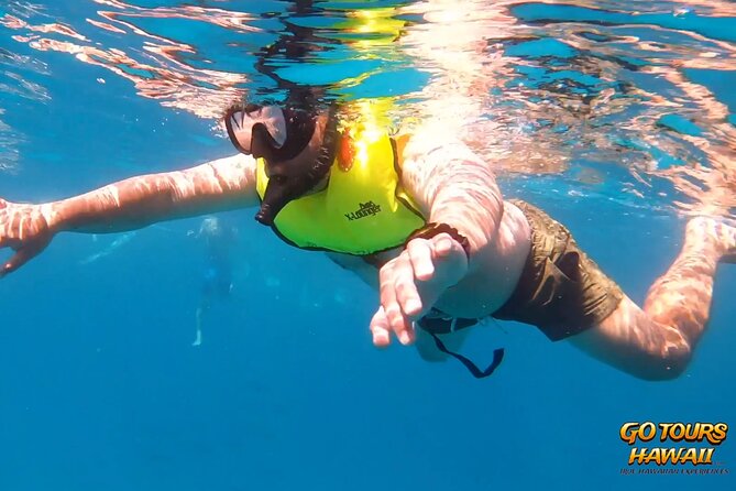 Waikiki Green Sea Turtle Snorkeling Tour - Boat Excursion - Review Highlights & Traveler Insights