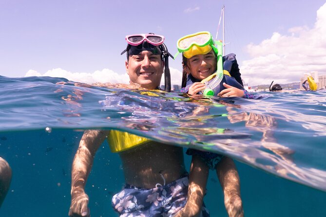 Waikiki Green Sea Turtle Snorkeling Tour - Boat Excursion - FAQs