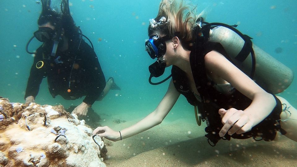 Waikiki: Honolulu Beginner Scuba Diving with Videos - Practical Details: What Travelers Should Know
