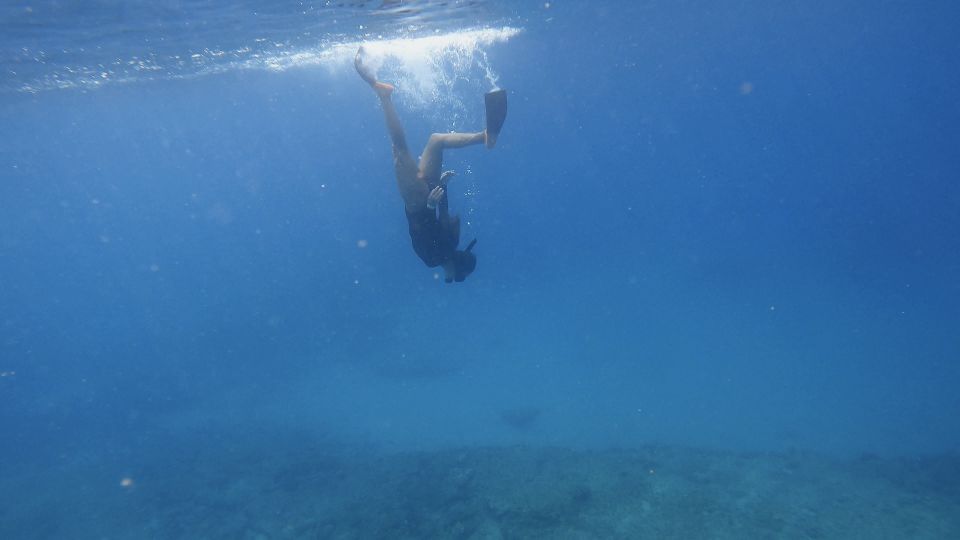 Waikiki: Honolulu Beginner Snorkeling Tour with Videos - Key Points  