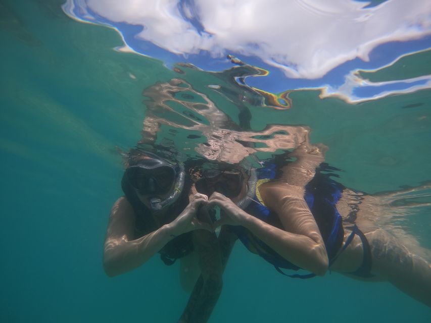 Waikiki: Honolulu Beginner Snorkeling Tour with Videos - What You Can Expect from the Tour