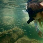 Waikiki: Honolulu Beginner Snorkeling Tour with Videos - The Real Value of This Snorkeling Tour