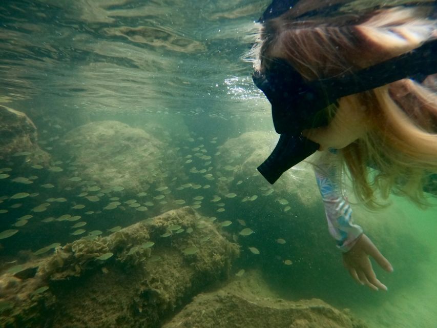 Waikiki: Honolulu Beginner Snorkeling Tour with Videos - The Real Value of This Snorkeling Tour