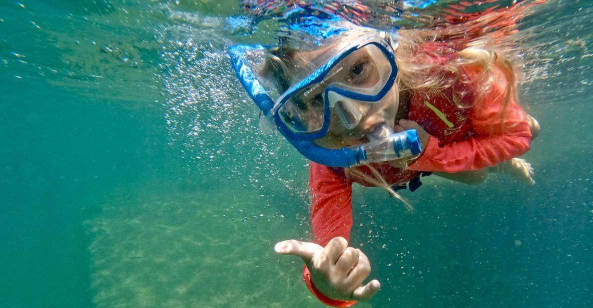 Waikiki: Honolulu Beginner Snorkeling Tour with Videos - What Makes This Tour Stand Out