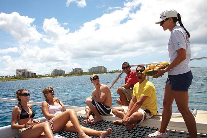 Waikiki Panorama Sail: Search for Hawaiian Sea Turtles - The Experience Breakdown: What to Expect