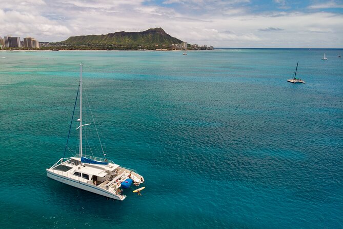 Waikiki Panorama Sail: Search for Hawaiian Sea Turtles - The Sum Up: Is This Tour for You?