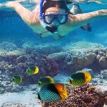Waikiki Sail and Snorkel Adventure Best of Hawaii - Why This Tour Offers Good Value