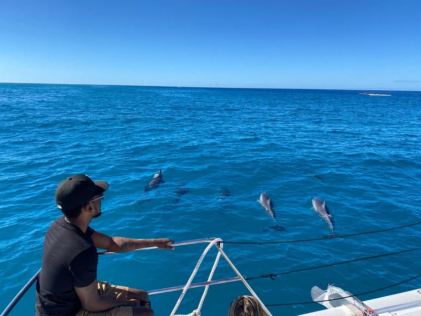 Waikiki: Sea Turtle Snorkeling, Small Group Boat Tour - The Value of the Experience