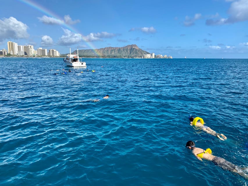 Waikiki: Sea Turtle Snorkeling, Small Group Boat Tour - FAQs