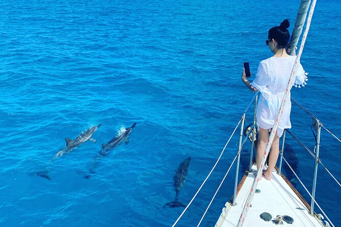Waikiki small group turtle snorkeling & sailing - Practical Details: What to Know Before Booking