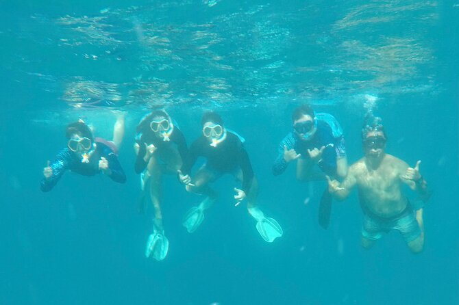 Waikiki small group turtle snorkeling & sailing - Authentic Experiences Highlighted by Reviews