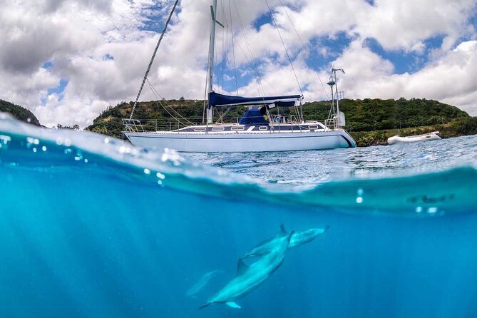 Waikiki small group turtle snorkeling & sailing - Who Might Want to Consider Other Options?