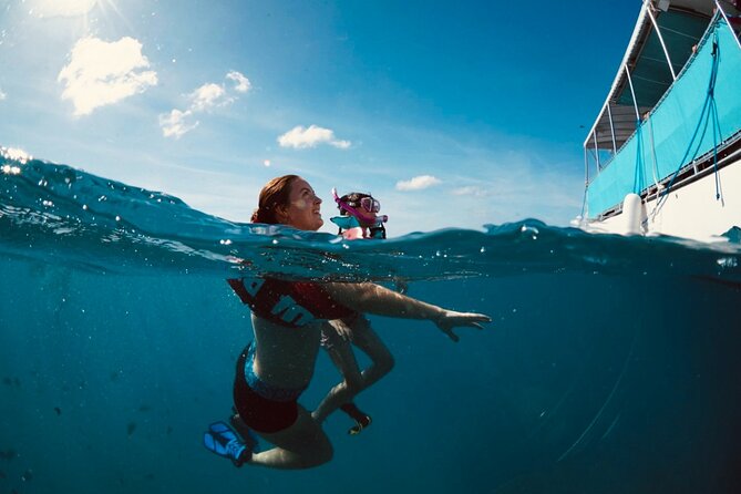 Waikiki Snorkel Tour - Review Highlights and Authentic Insights