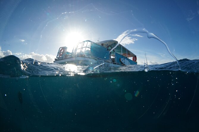 Waikiki Snorkel Tour - Who Should Consider This Tour?
