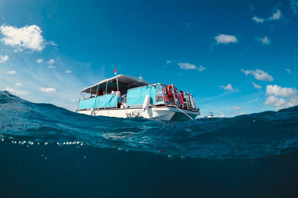 Waikiki: Snorkel Tour with Hawaiian Green Sea Turtles - The Sum Up