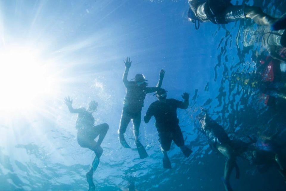Waikiki: Snorkel Tour with Hawaiian Green Sea Turtles - FAQ