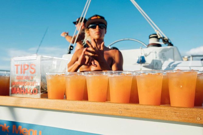 Waikiki Sunset Cocktail Sail with Open Bar - An In-Depth Look at the Waikiki Sunset Cocktail Sail