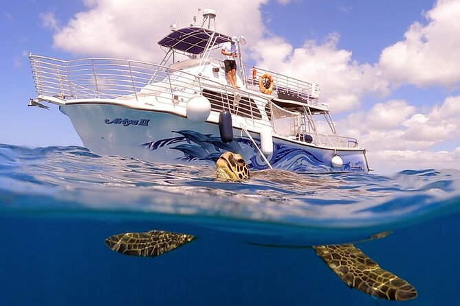 Waikiki Turtle Canyon Snorkeling with Hula Show - What Reviewers Love Most