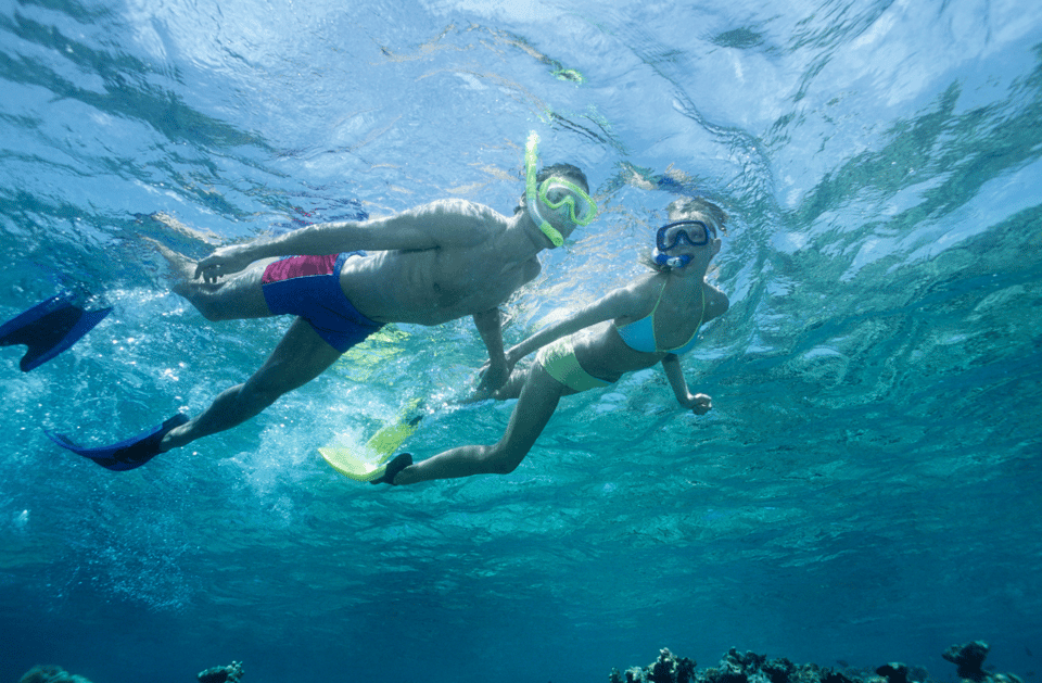 Waikiki Turtle Snorkel Adventure - Key Points