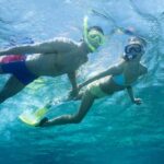 Waikiki Turtle Snorkel Adventure - The Itinerary: What to Expect