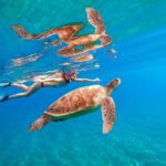 Waikiki: Turtle Snorkeling Cruise with 20ft Jumping Platform - Who Is This Tour Best For?