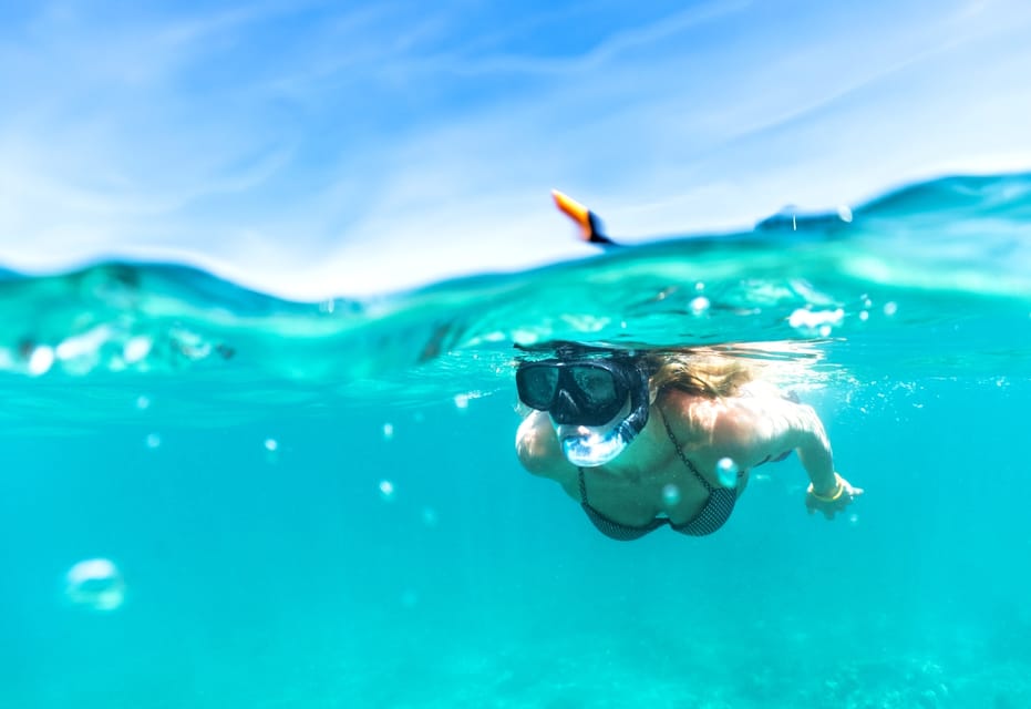 Waikiki: Turtle Snorkeling Cruise with 20ft Jumping Platform - The Itinerary: What to Expect on Your Day Out