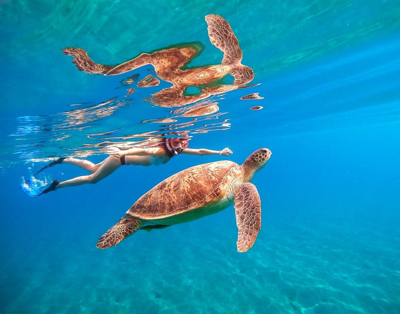 Waikiki: Turtle Snorkeling Cruise with 20ft Jumping Platform - Practical Details and Tips for Your Trip