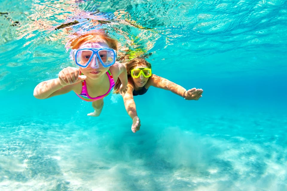 Waikiki: Turtle Snorkeling Cruise with 20ft Jumping Platform - Authentic Experiences and Real Feedback