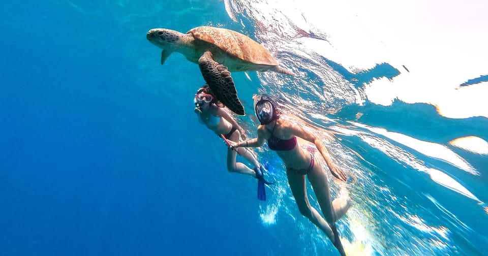 Waikiki: Turtle Snorkeling Cruise with 20ft Jumping Platform - Who Should Consider This Tour?