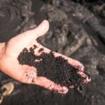 Waikoloa/Kohala: Elite Volcano Hike - What You Can Expect From the Tour