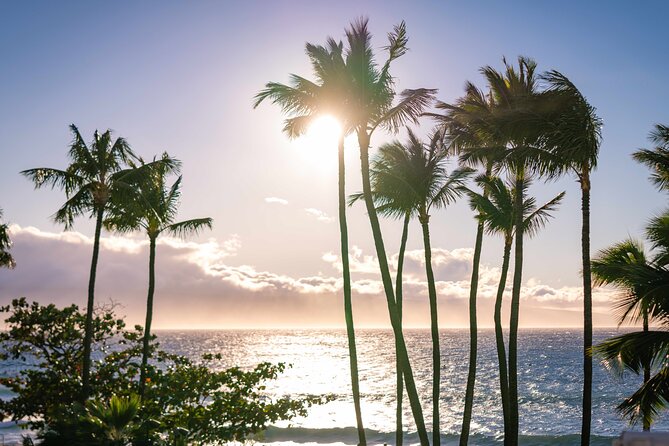 Wailele Luau Including Fire and Knife Performance Plus Dinner - Is the Wailele Luau Worth It?